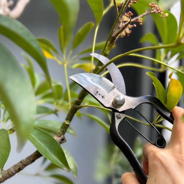 High-Quality Japanese Gardening Tools | omakase