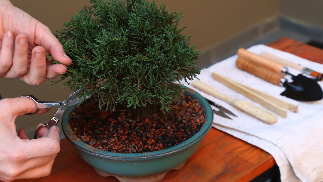 omakase | Japanese Artisans at Your Doorstep