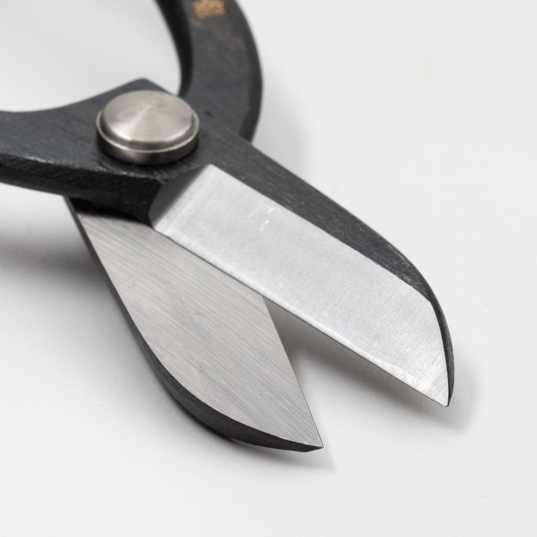 Beyond the Bonsai: A Guide to the Versatility of Japanese Shears – omakase