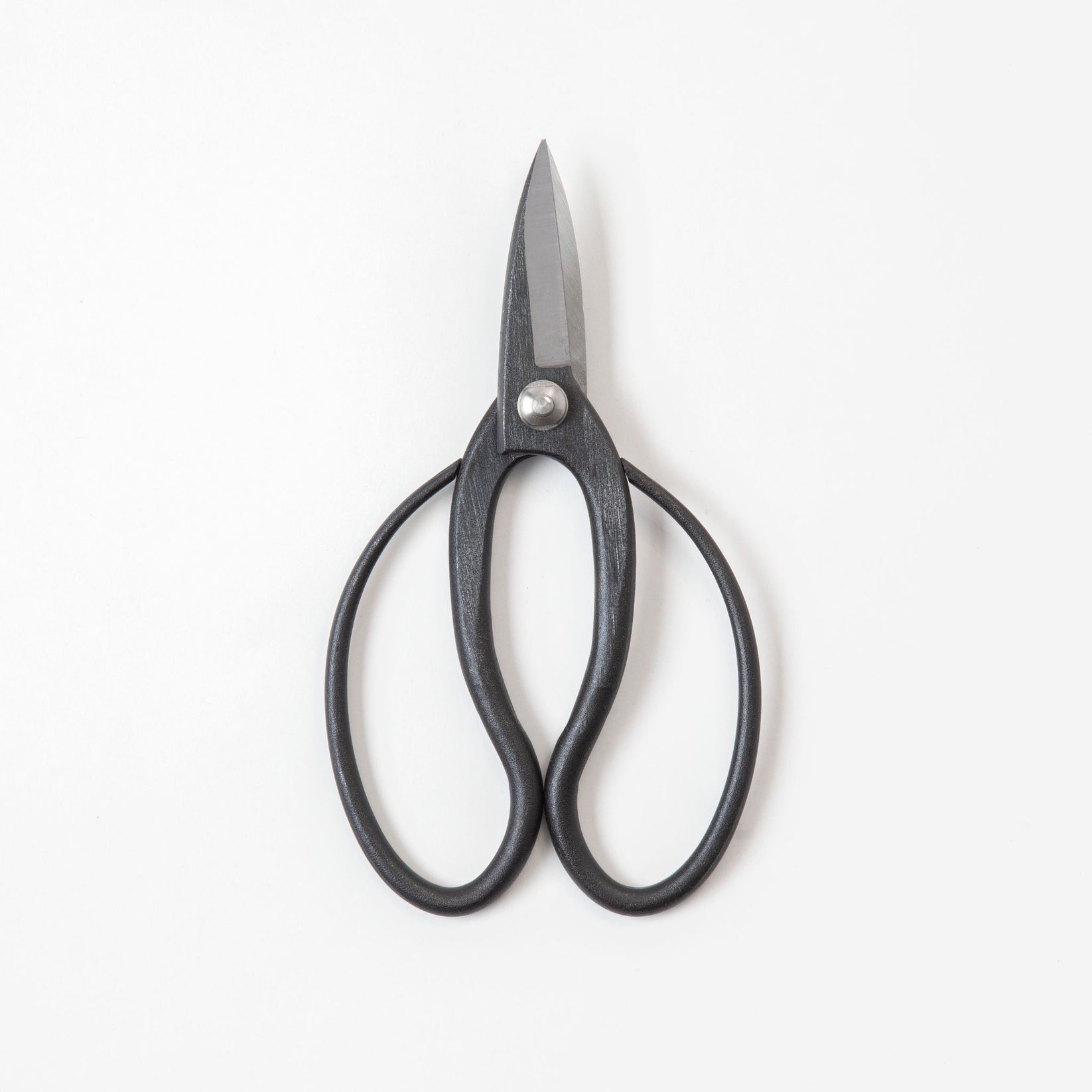 Tsurumaki Okubo Shears – omakase