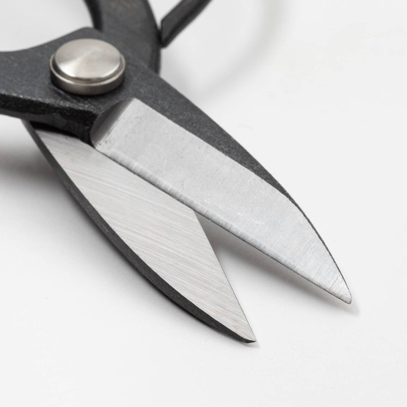 Tsurumaki Okubo Shears – omakase